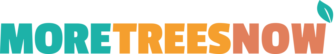 More Trees Now - Plant millions of trees together for less CO₂